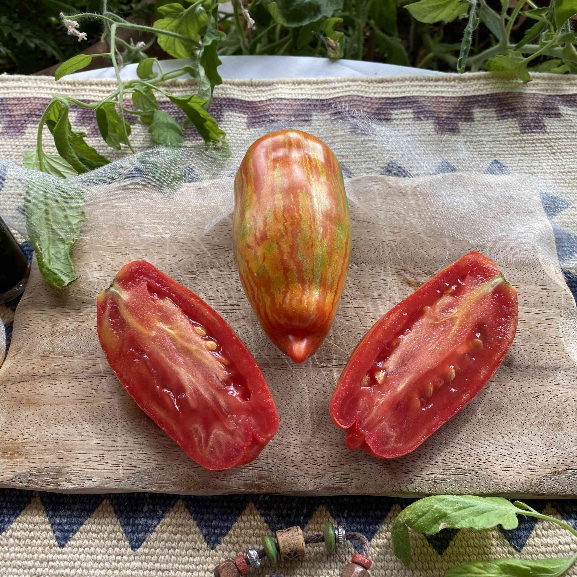 Saatgut / Samen von der Tomate Striped Roman