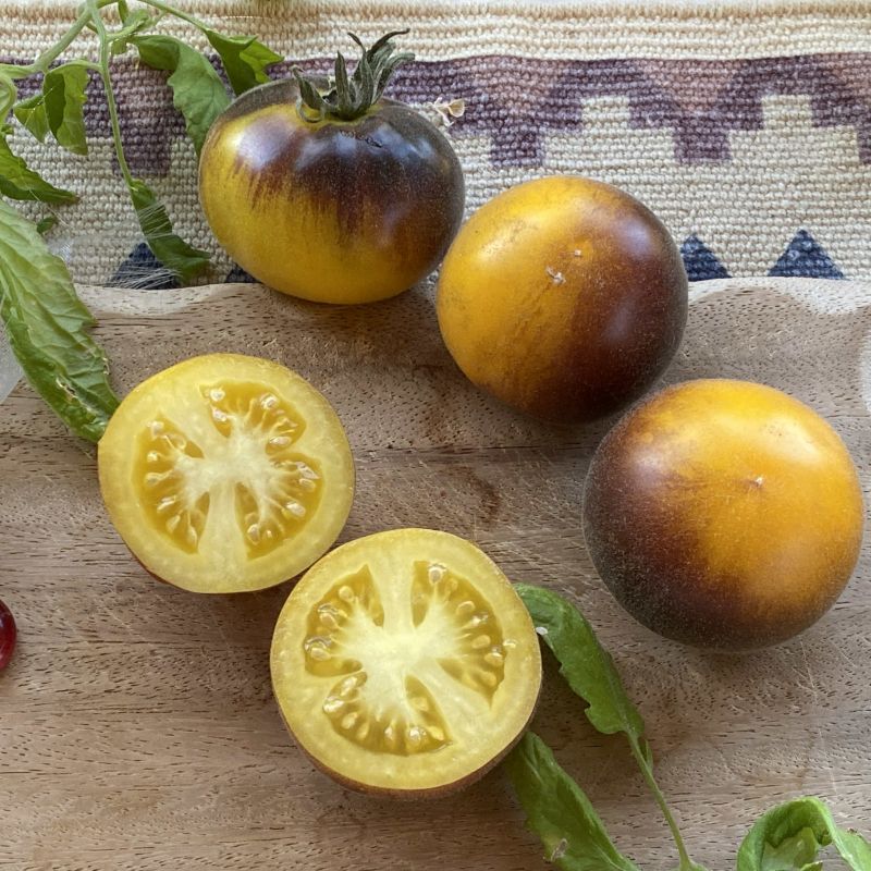 Saatgut / Samen von der Tomate Woolly Kate Yellow